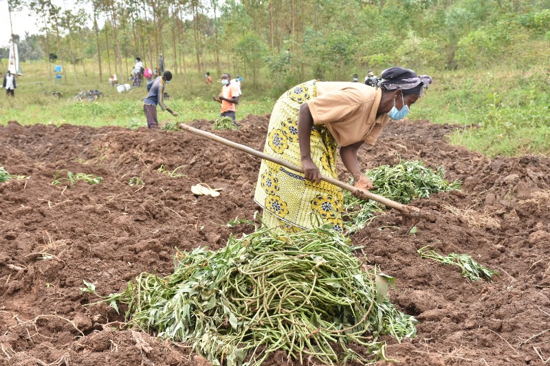 Uko VUP yahinduye amateka y'Abanyarwandakazi batishoboye - IRIBA NEWS