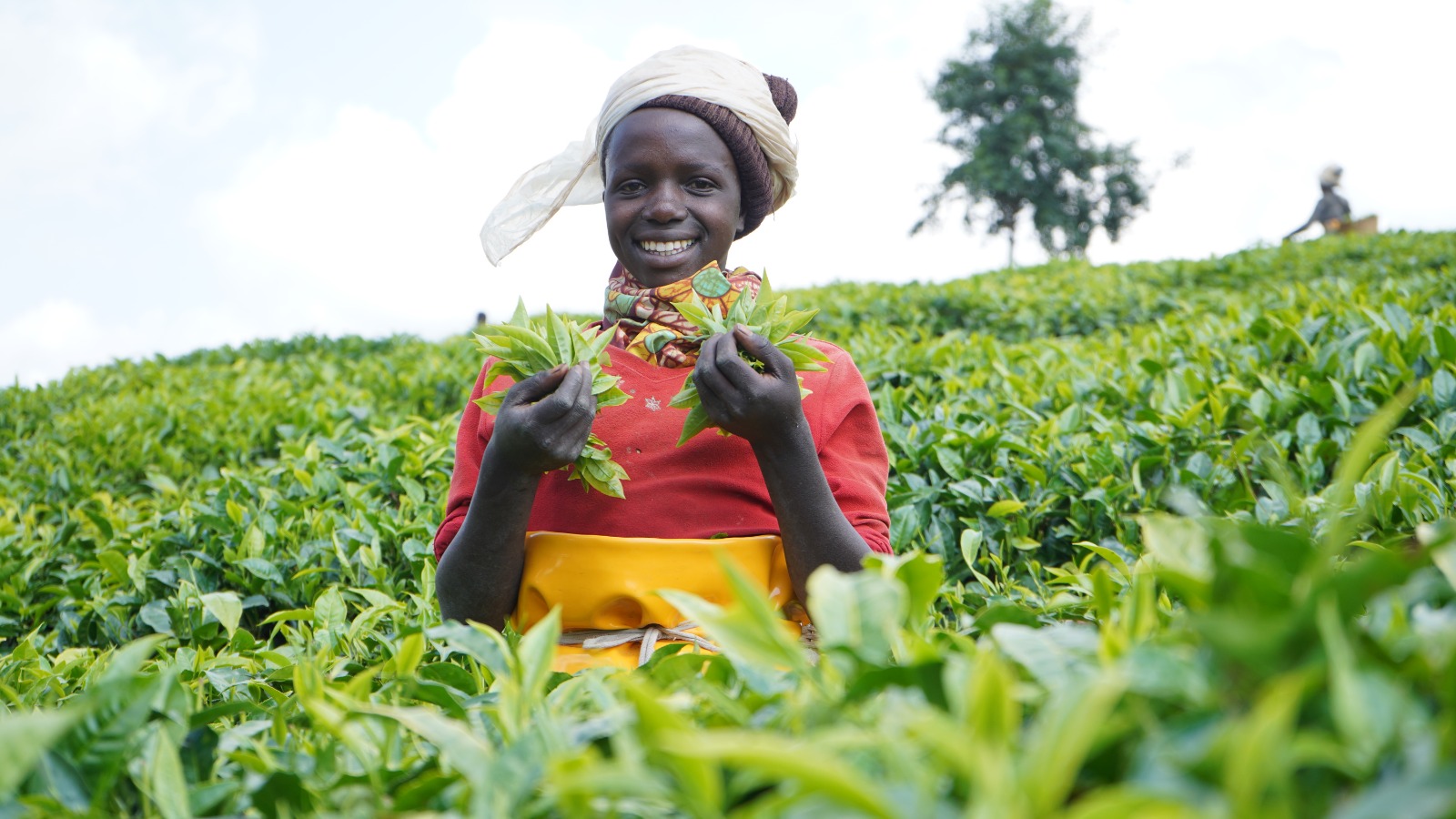 Nyamagabe: Abagore bakora mu Ruganda rw’icyayi bishimira ko ...