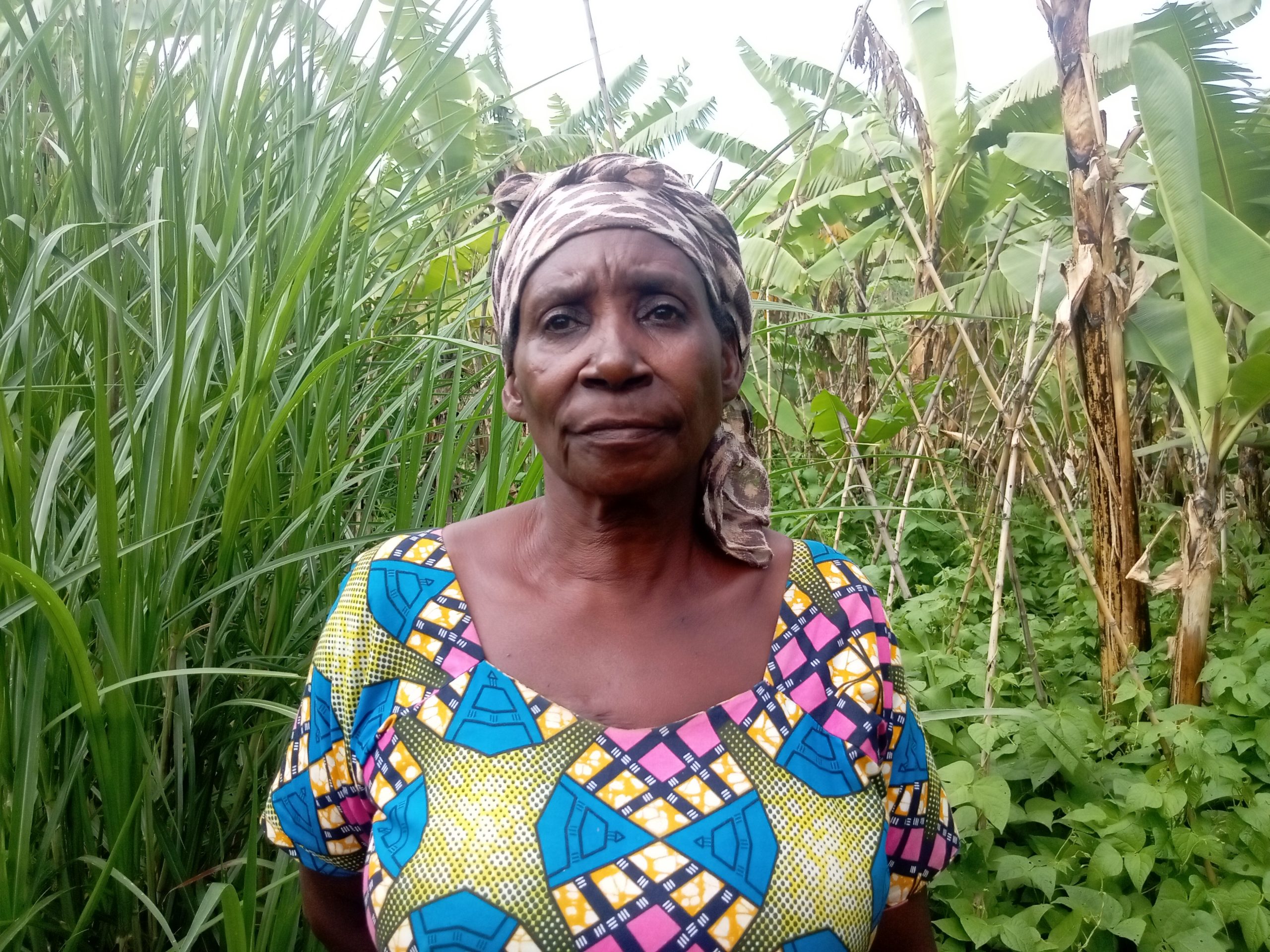 Rubavu: Hari umukecuru uvuga ko yatahutse bene wabo bakamwima imitungo ...